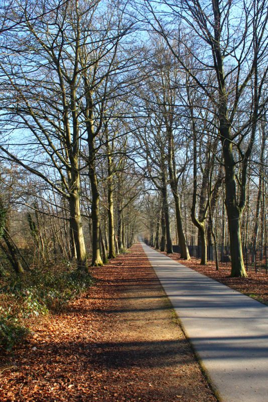 Wandeling rond de abdij van Averbode door bos en heide - Even Op Stap