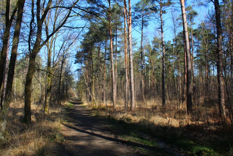 Wandeling rond de abdij van Averbode door bos en heide - Even Op Stap