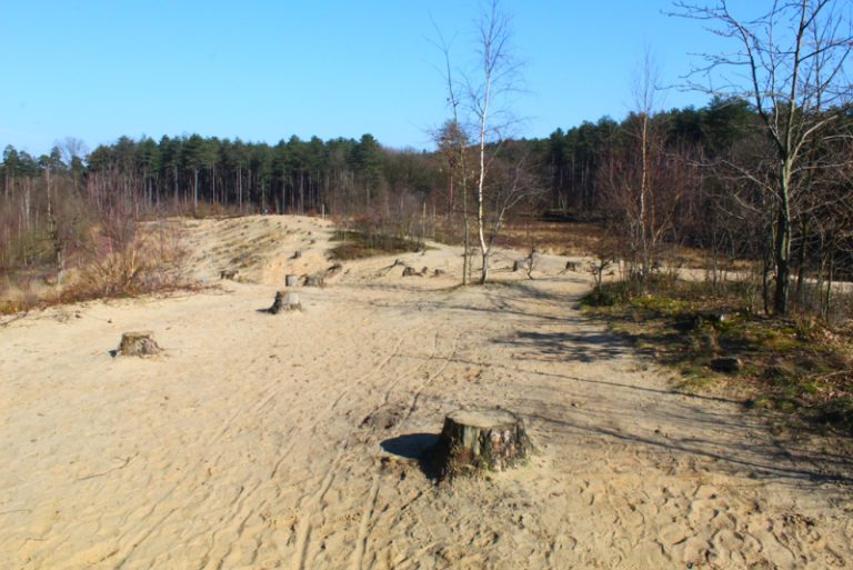 Wandeling rond de abdij van Averbode door bos en heide - Even Op Stap
