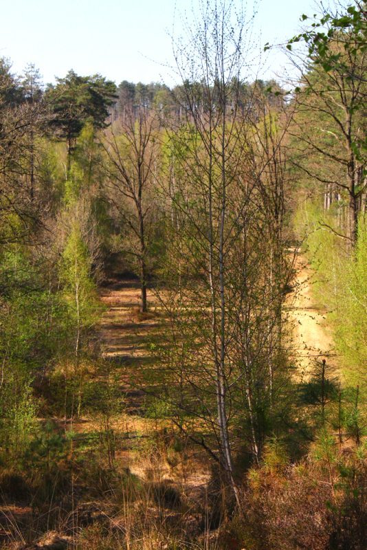 Wandeling rond de abdij van Averbode door bos en heide - Even Op Stap
